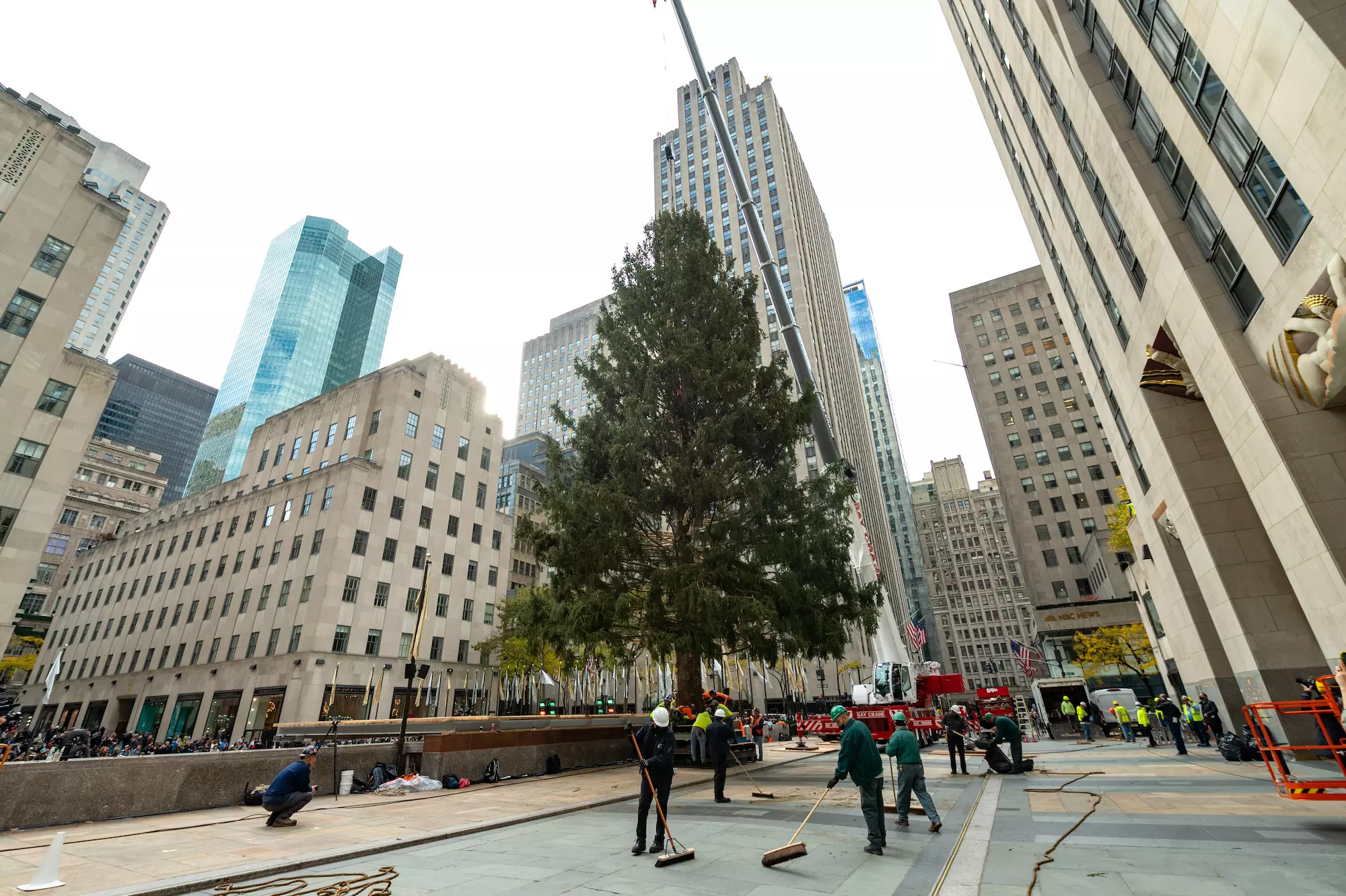 Рождественская елка Рокфеллер-центра 2021 года прибыла в Нью-Йорк 2268_5