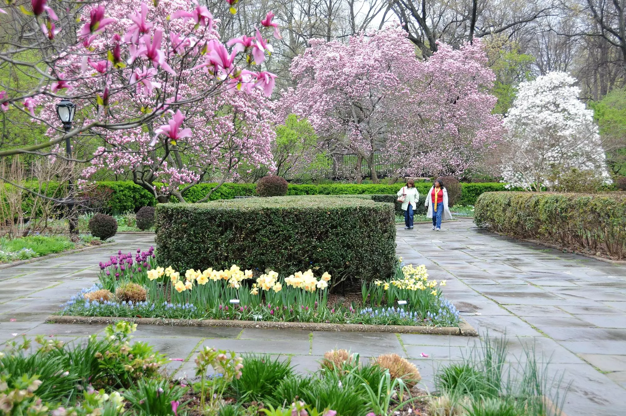 Jardín del Conservatorio de Central Park, Central Park Conservancy