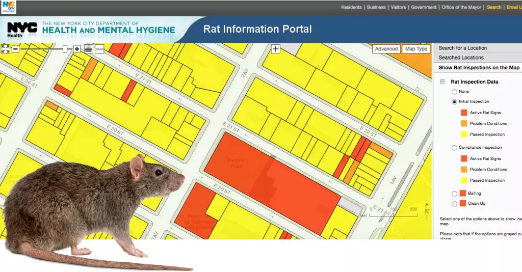 Descubra se um prédio tem ratos usando o mapa interativo da cidade