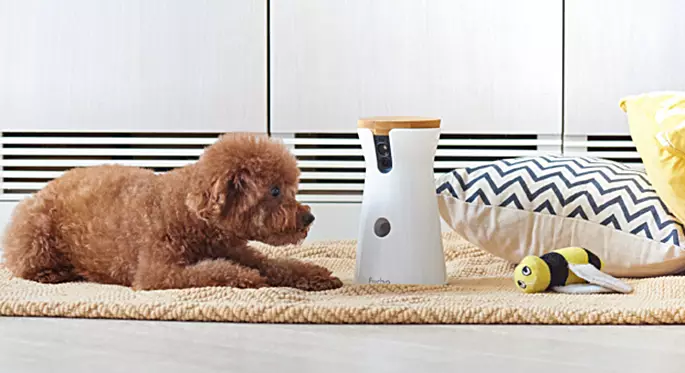 Furbo: интерактивная камера для собак, которая позволяет вам разговаривать с вашим питомцем и раздавать лакомства 23087_1