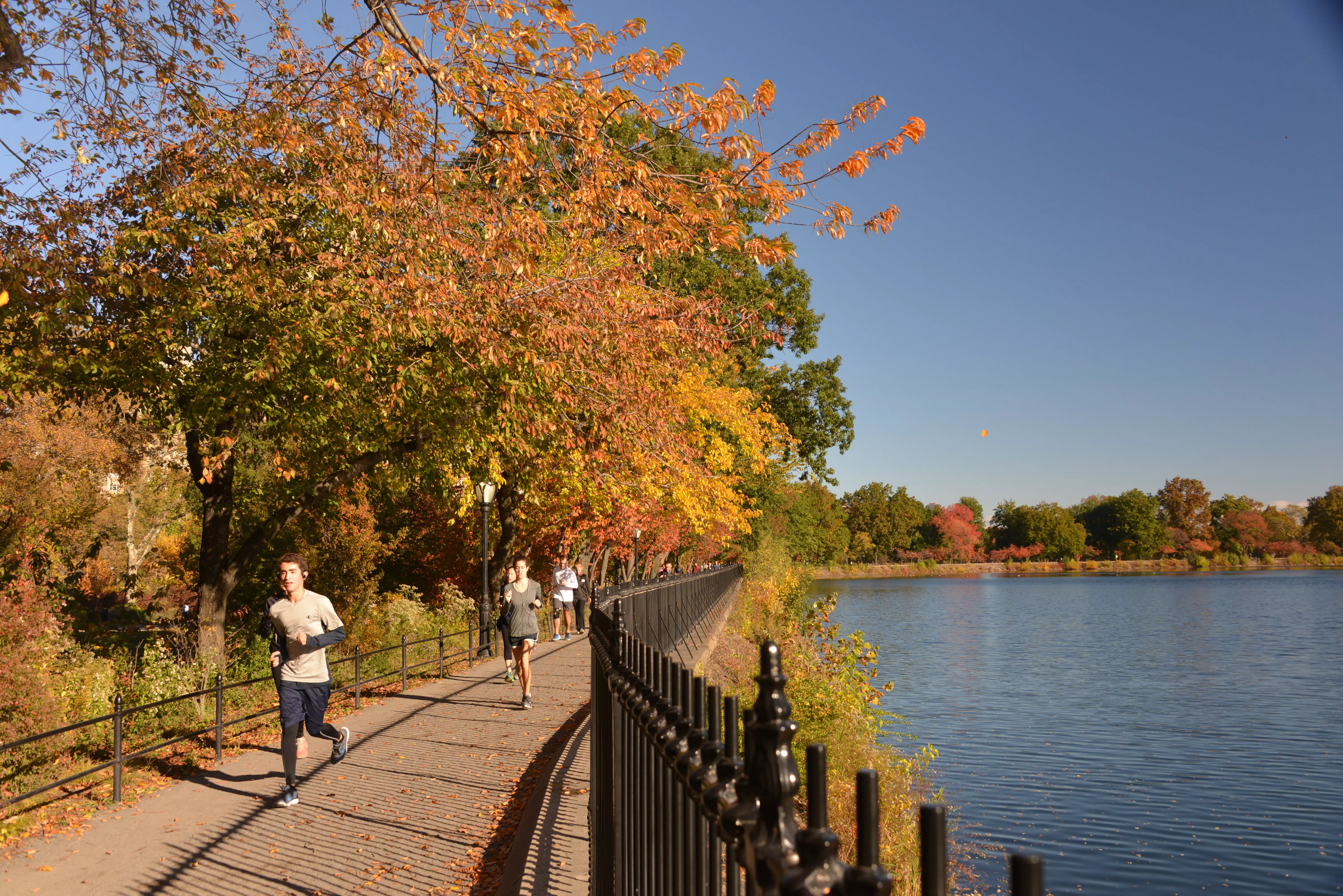 De beste plekken in Central Park om herfstbladeren te zien 2312_3