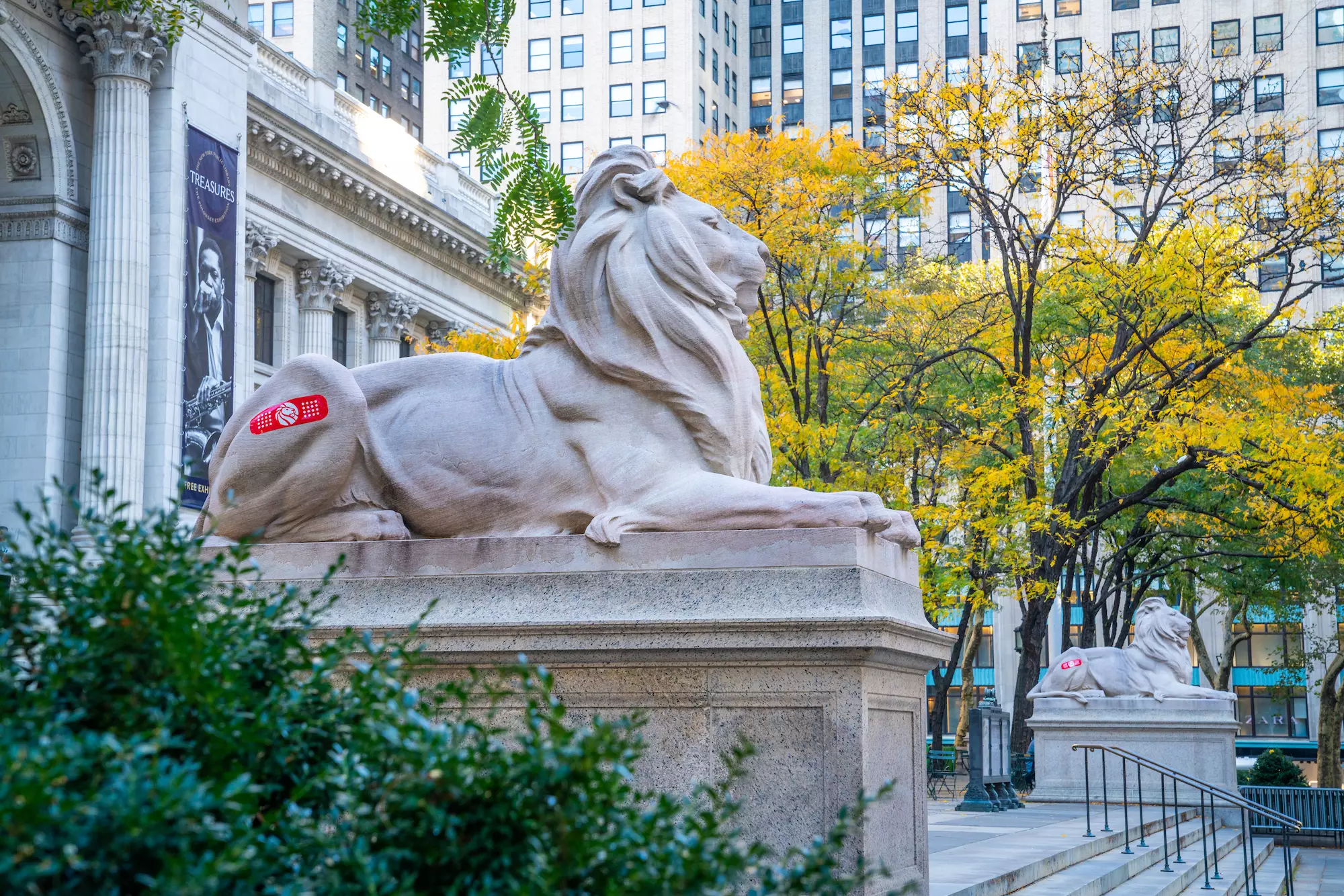 Ikoničtí mramoroví lvi ve veřejné knihovně New York Public Library předvádějí velké obvazy na podporu očkování 2314_1