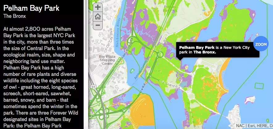 Карта охорони природних зон-Пелхем-Бей Парк