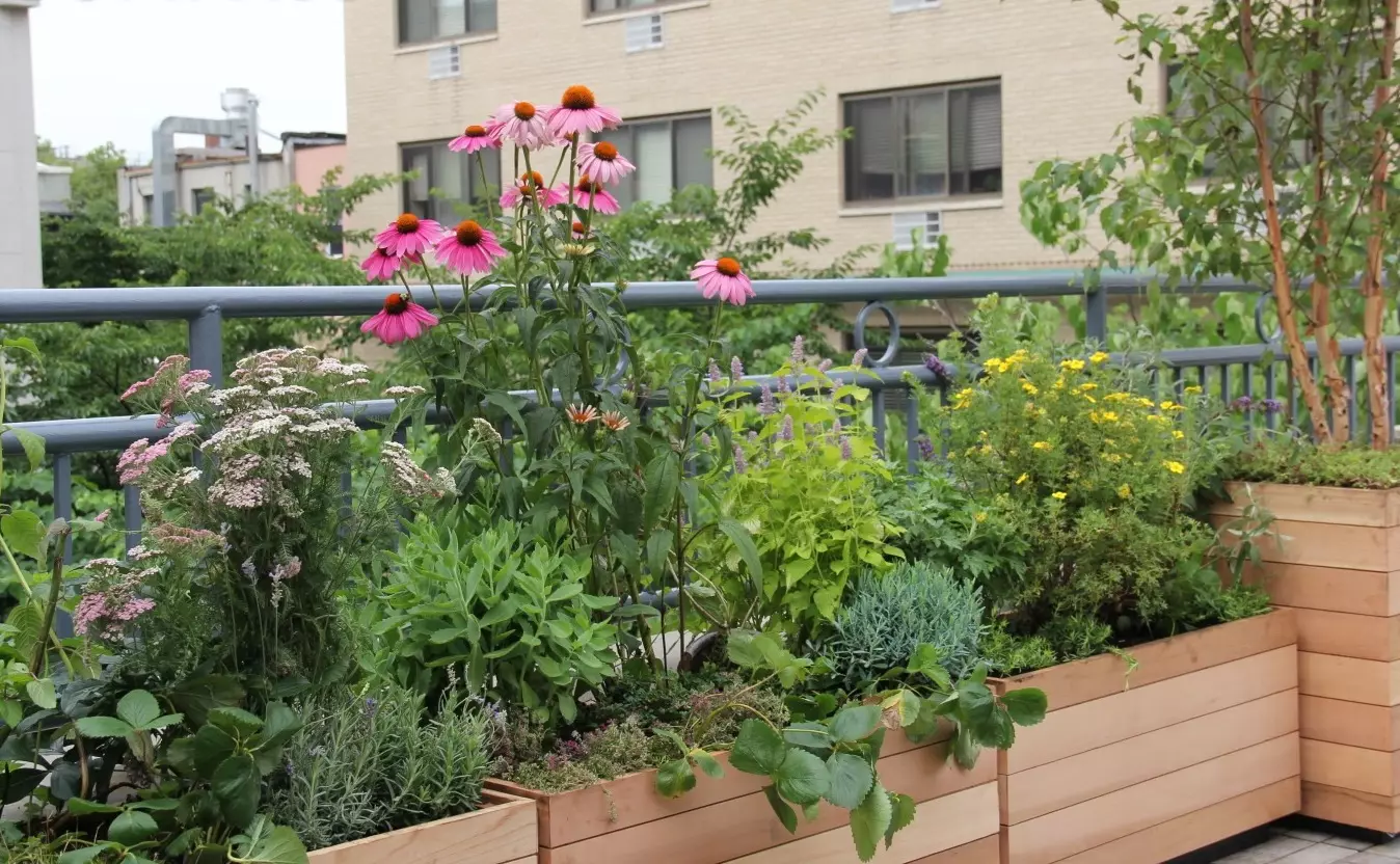 48 tiffany place, patio, roof deck, brooklyn