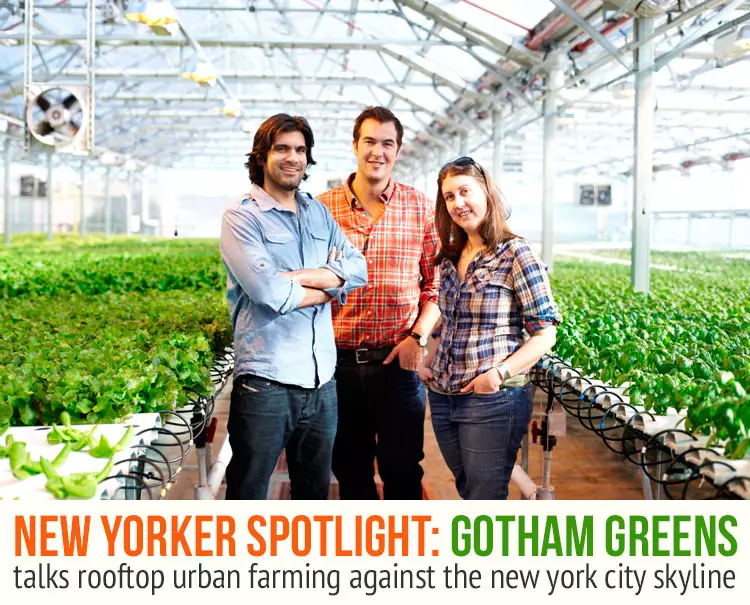 I-Spotlight: I-Gotham Greens Ikhuluma Ngokulinywa Kophahla Ngokuphikisana Ne-New York Skyline 24423_1