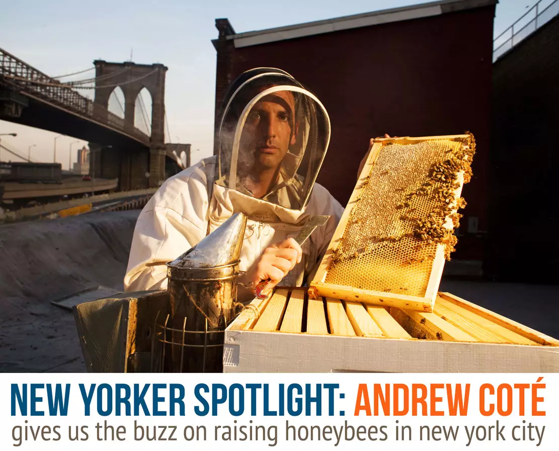 สปอตไลท์: คนเลี้ยงผึ้ง Andrew Coté ให้ข่าวลือเรื่องการเลี้ยงผึ้งในเมือง 24628_1