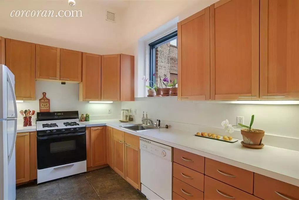 248 17th Street, Greenwood, South Slope, Red Hook, Sunset Park, Loft, 很酷的房源, 布鲁克林公寓出售