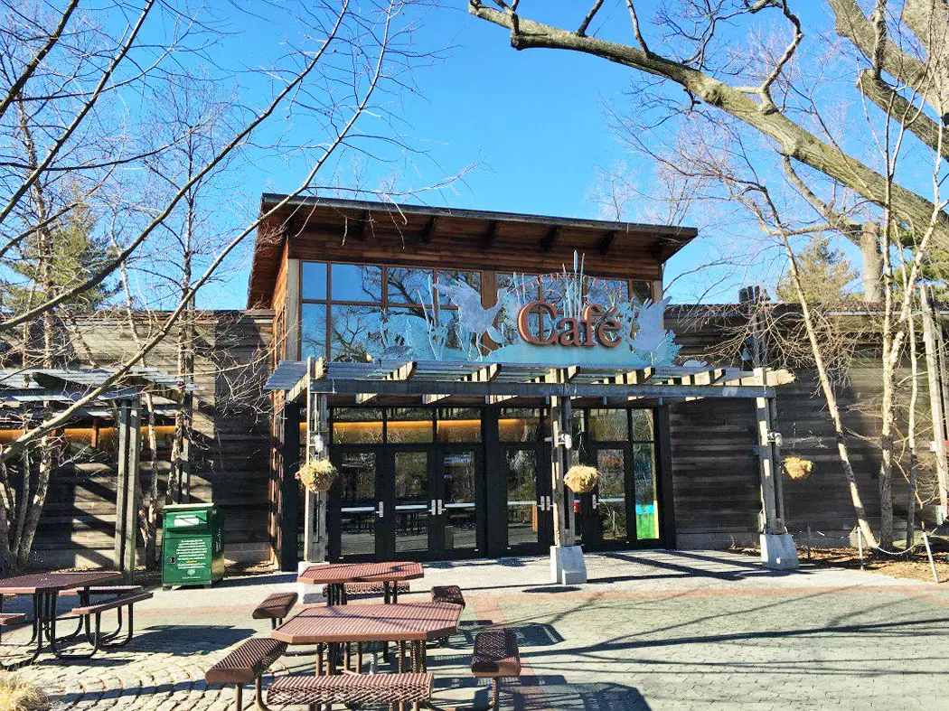 jeřábová kavárna bronx zoo