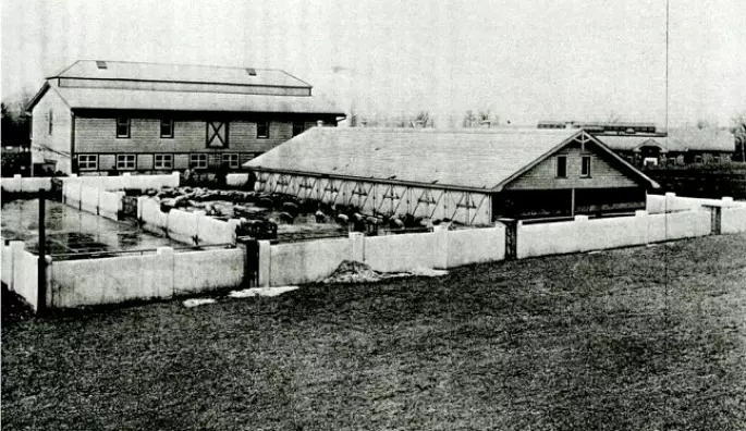 Staten Island фермасының колониясы-1914 ж