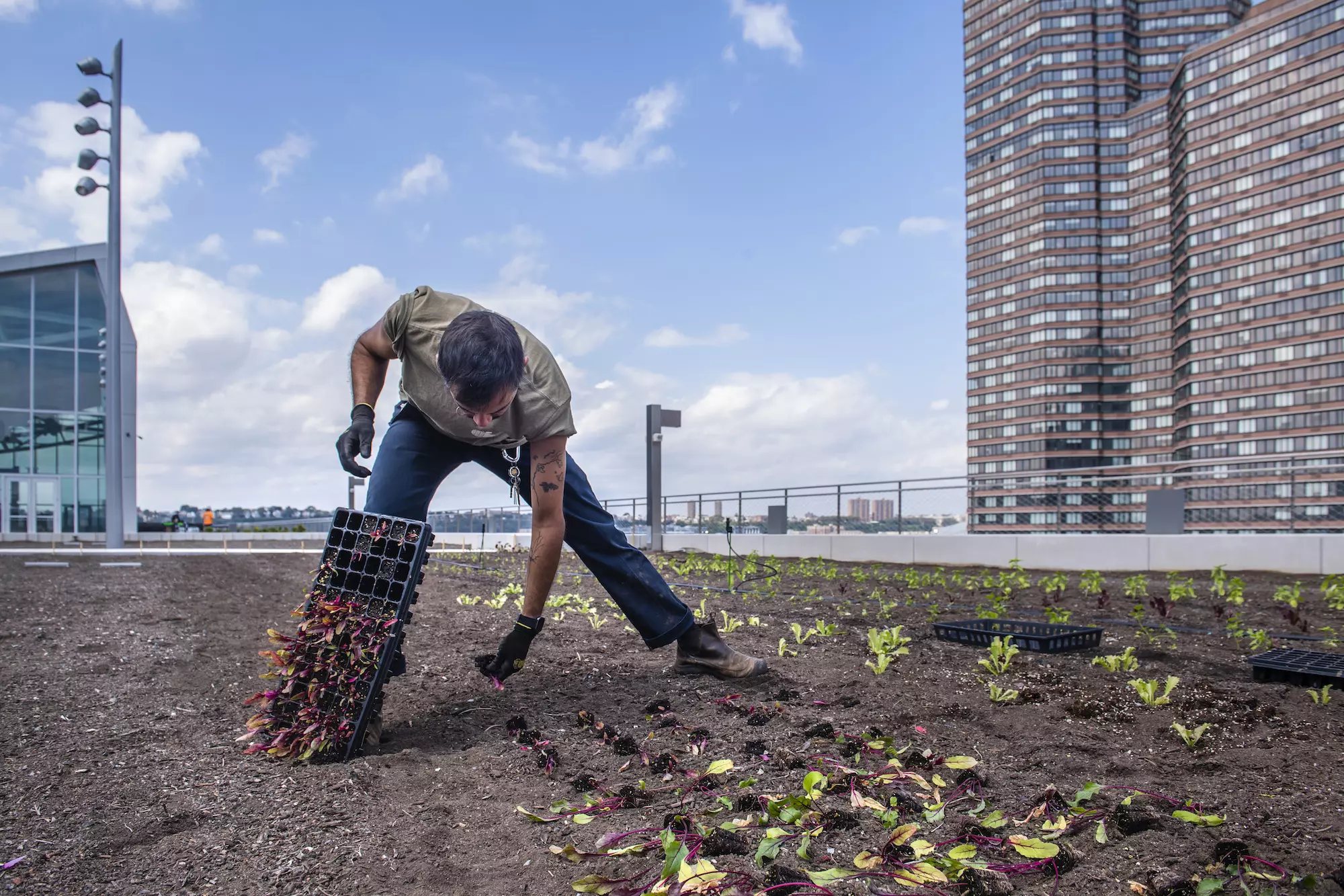 Nei Daachterrass mat Glaspavillon an engem Hektar Bauerenhaff mécht am Javits Center op 2629_2