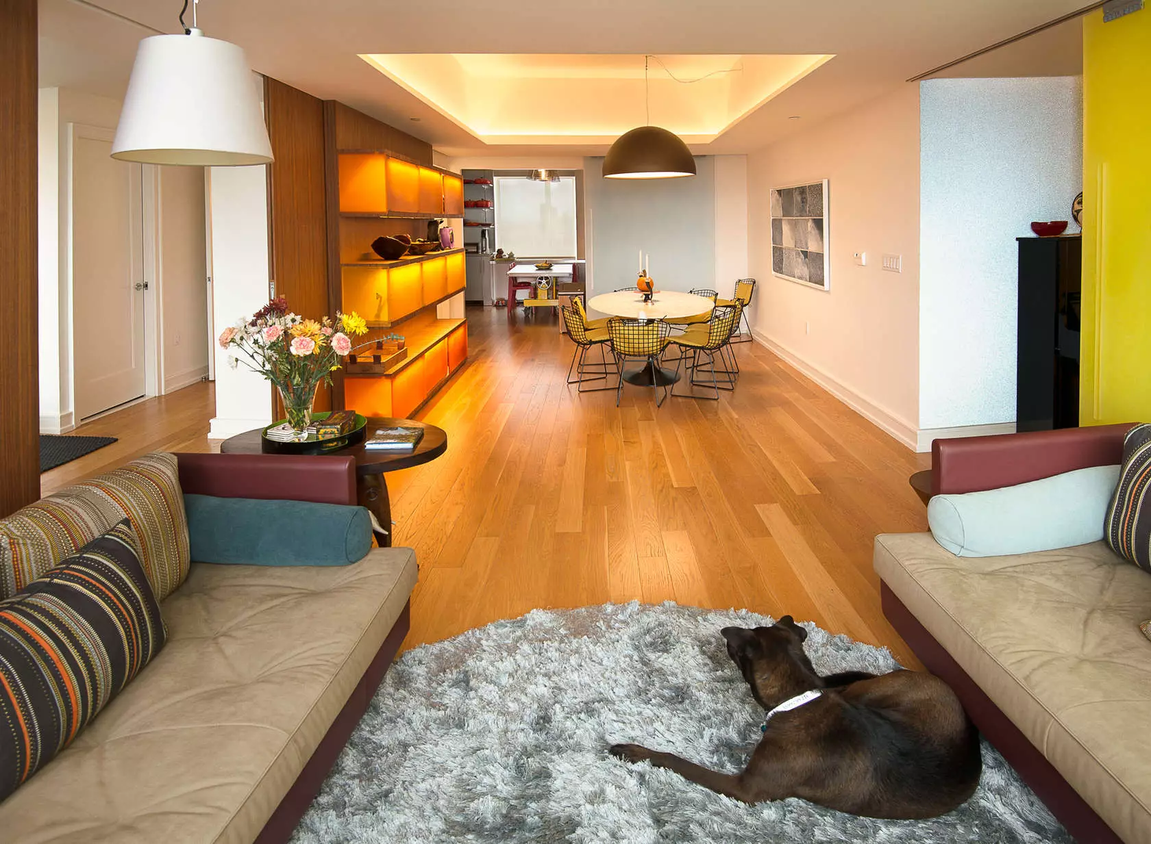 آپارتمان روشن هارلم دارای اتاق های متحول کننده و قابل دسترسی با ویلچر است 27167_1