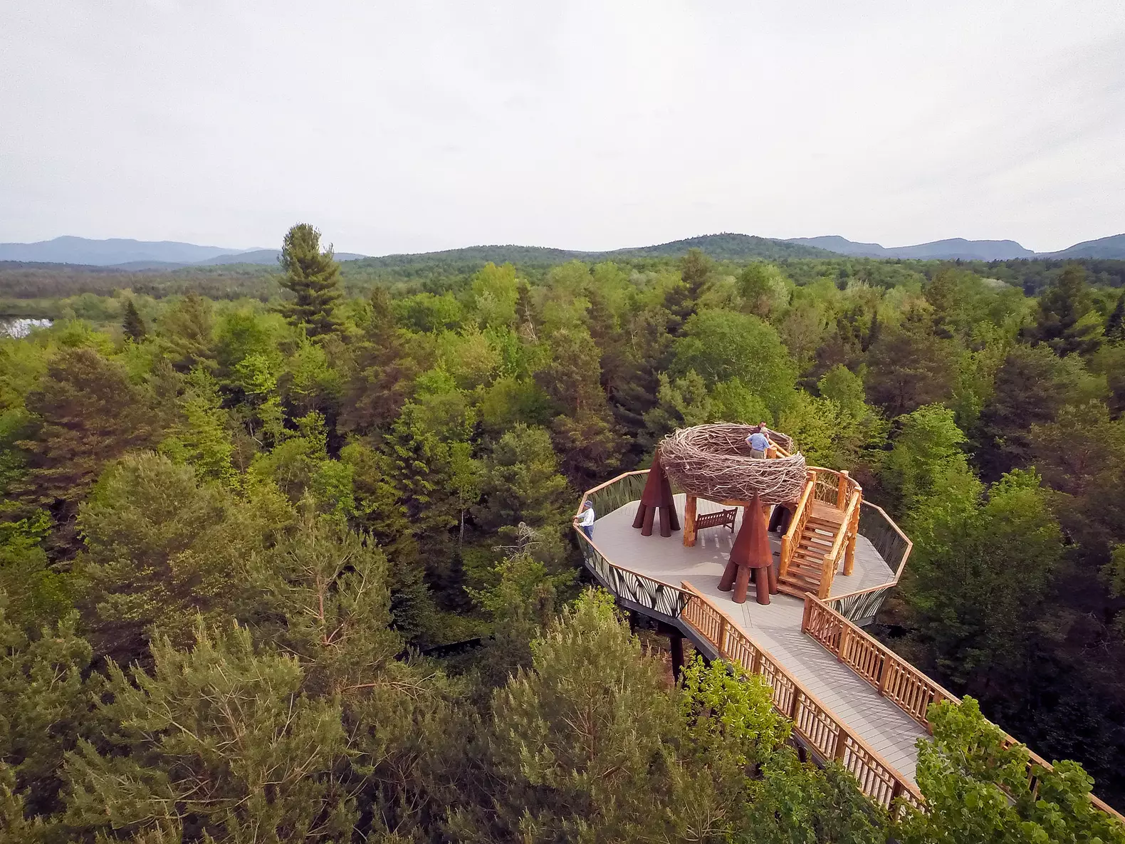 የዱር መራመድ፣ Upstate Treetop መንገድ፣ በከፍተኛ መስመር ተመስጦ ነበር። 27169_1