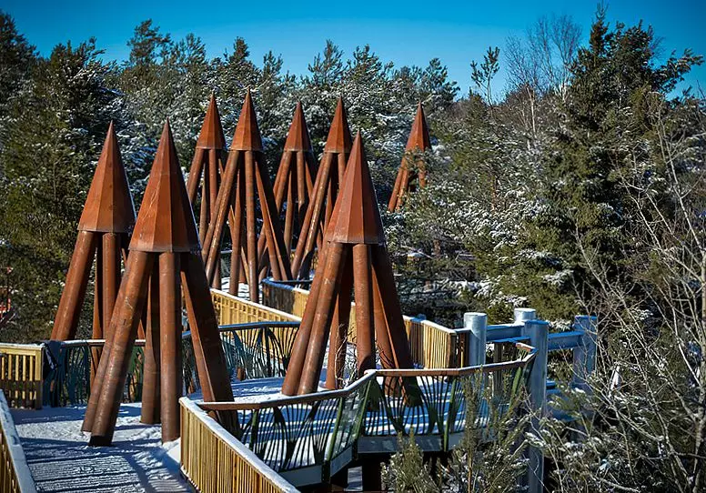 Wild Walk, Wild Center, Charles P. Reay, прагулкі на прыродзе ў паўночнай частцы штата, Adirondacks,