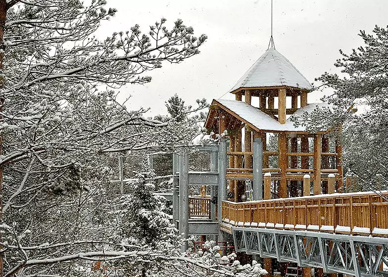 Wild Walk, Wild Center, Charles P. Reay, прагулкі на прыродзе ў паўночнай частцы штата, Adirondacks,