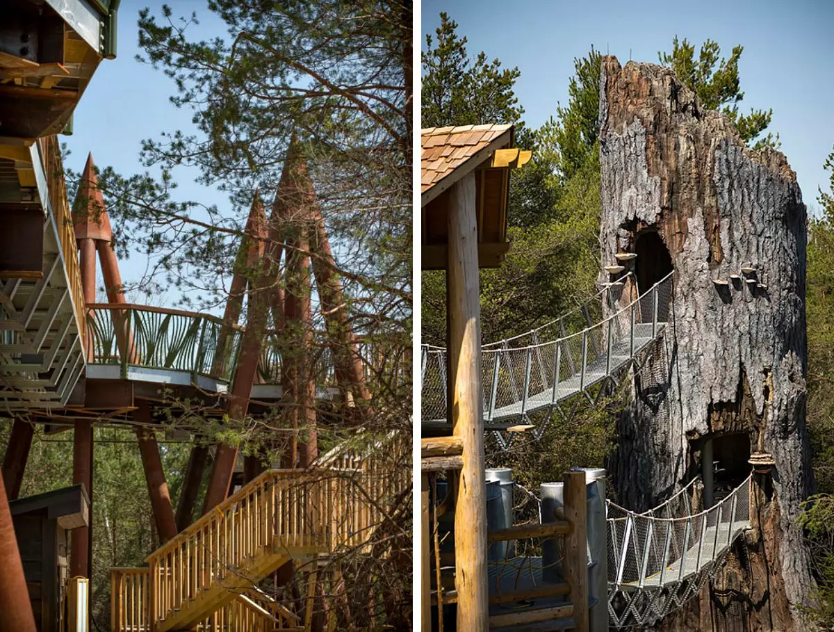 Wild Walk, Wild Center, Charles P. Reay, prechádzky severnou prírodou, Adirondacks,