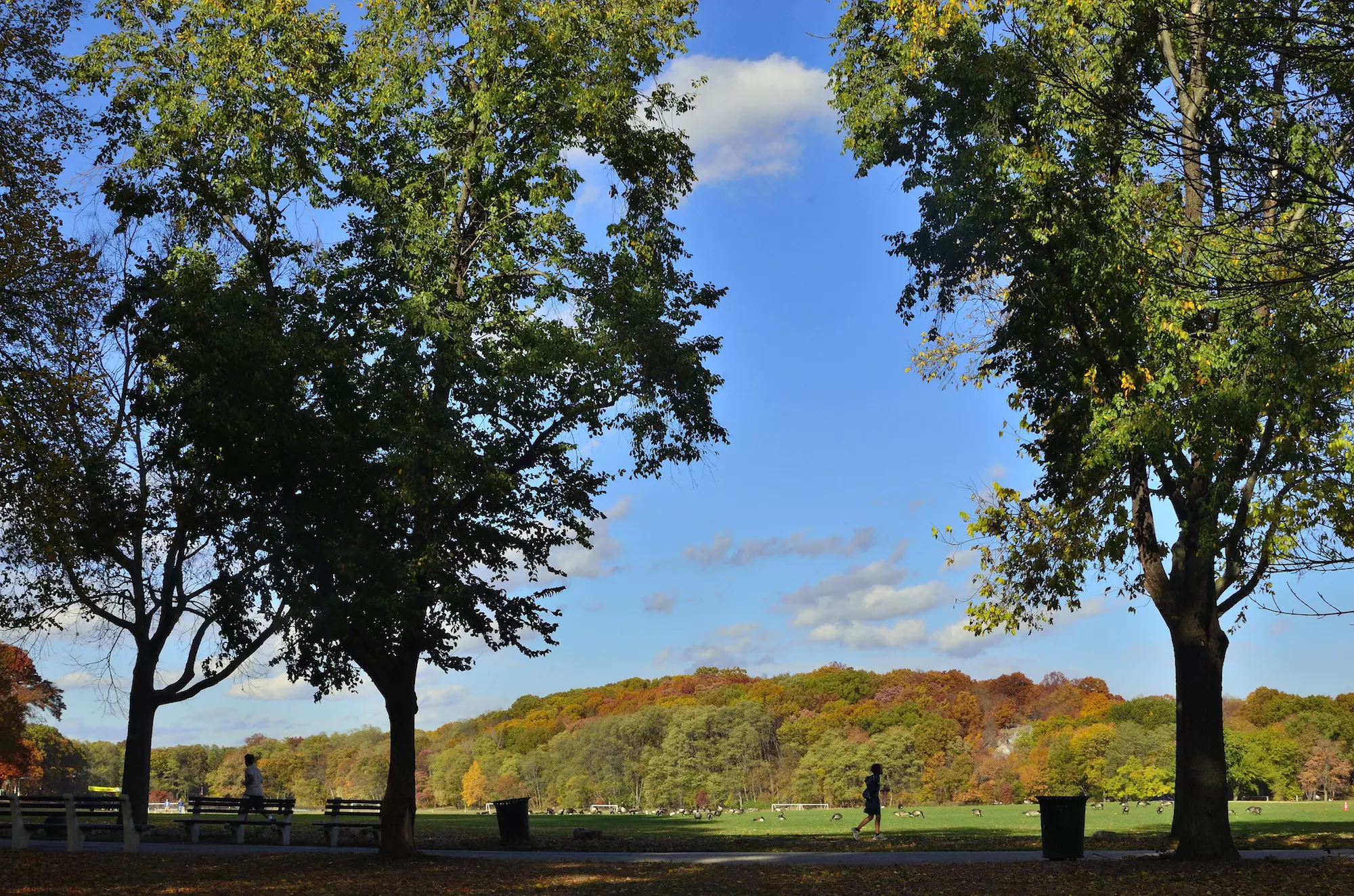 Lotri ouvri pou 55 apatman abòdab toupre Van Cortlandt Park 2750_1