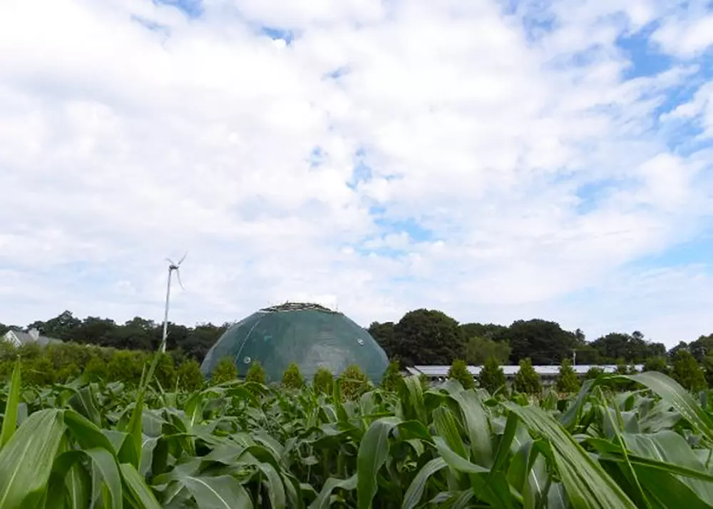 Kevin Shea, Long Island Green Dome, panimalay sa pamilya, pinakadako nga geodesic dome-home sa kalibutan, terraced garden, recycled nga mga ligid, berde nga atop, spider web green nga atop, prutas nga kahoy, cross circulation, kahayag sa adlaw