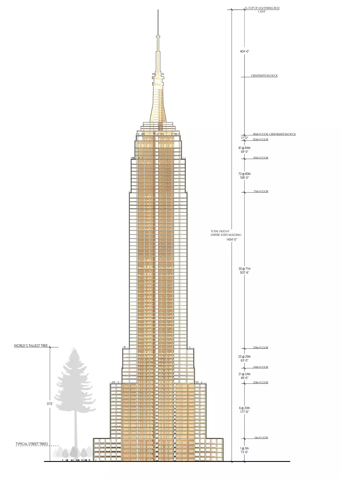 Metsä Wood, Empire State Building, taxta göydələnlər