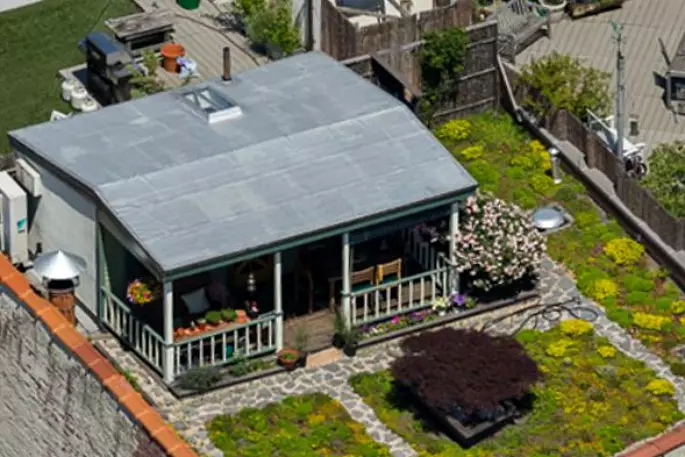 покривот на улицата Гринич 719, зелен покрив во Њујорк, Дејвид Пучкоф и Ајлин Стукејн