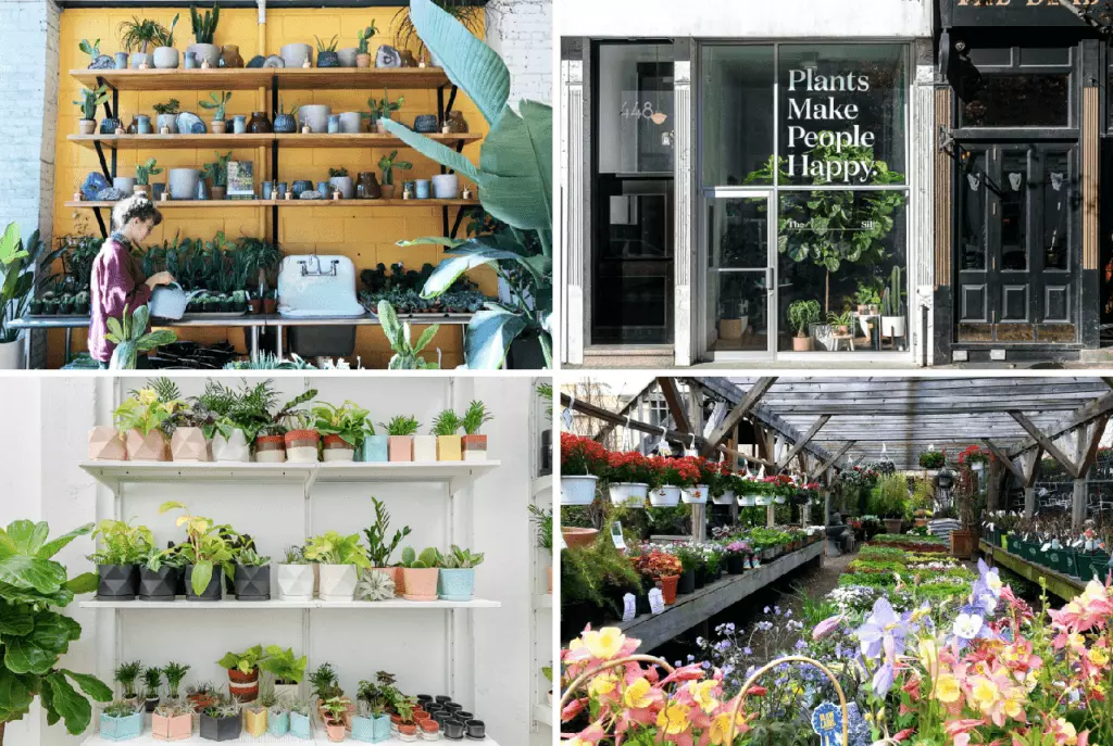 10-те најдобри продавници за растенија во Њујорк