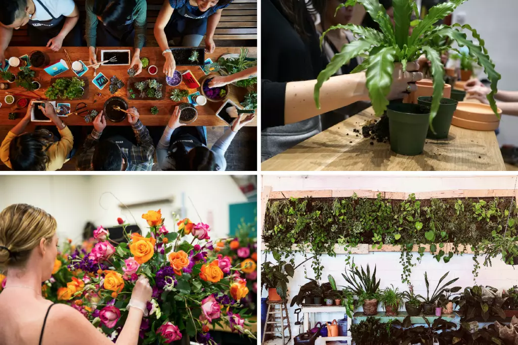 10 tempat terbaik untuk kelas tumbuhan di NYC