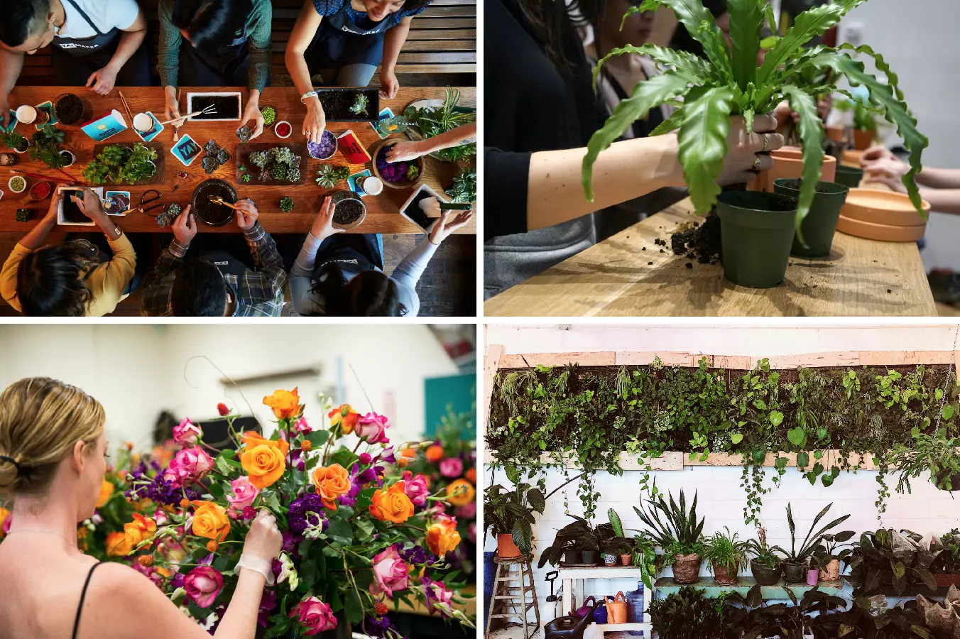 10 tempat terbaik untuk kelas tumbuhan di NYC 290_1