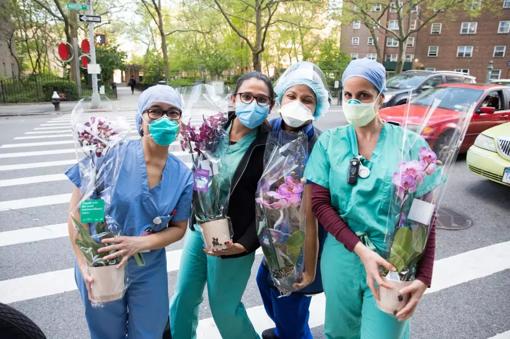 The Sill está entregando 10.000 orquídeas para profissionais de saúde no Dia das Mães