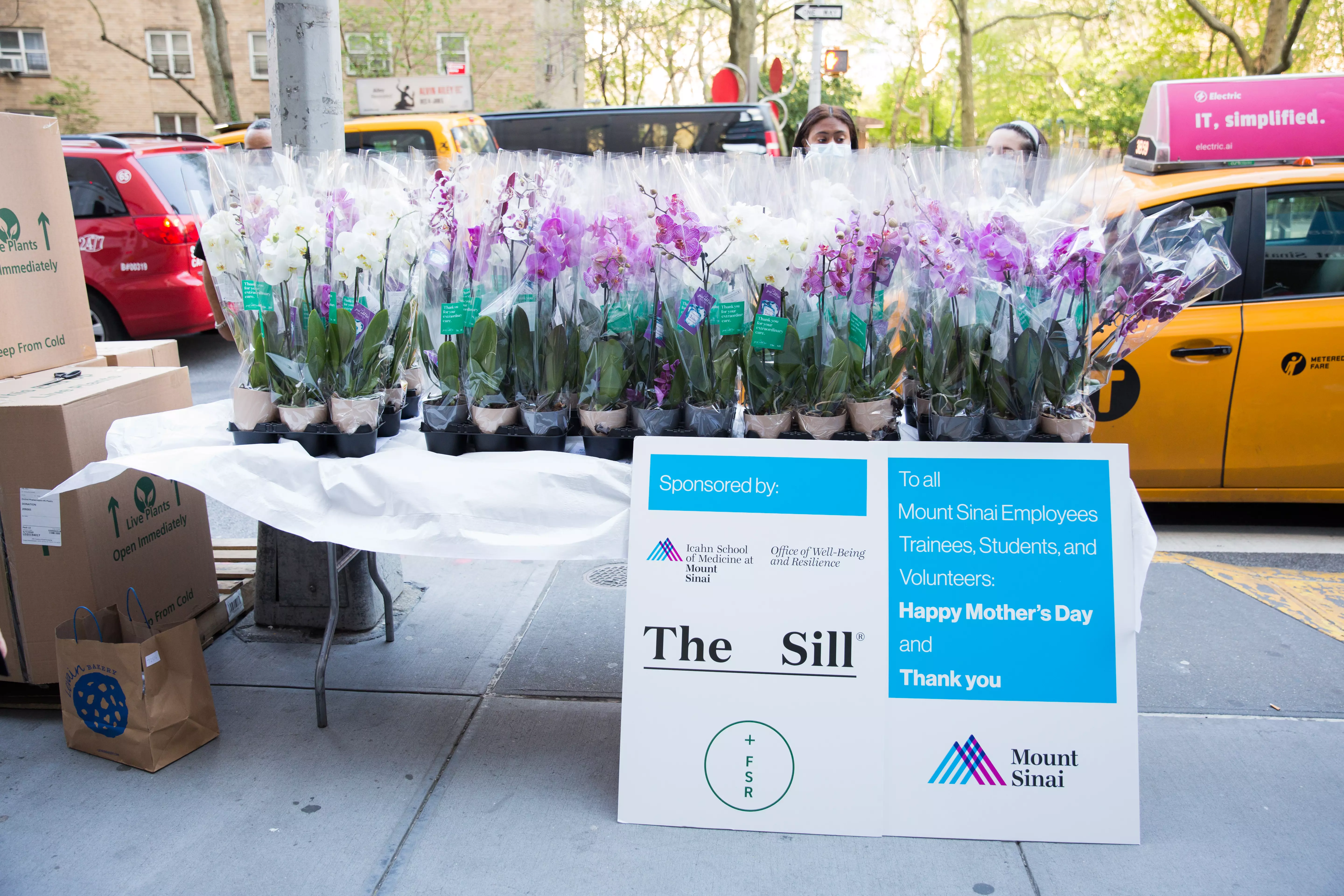 The Sill sta consegnando 10.000 orchidee agli operatori sanitari per la festa della mamma 291_2