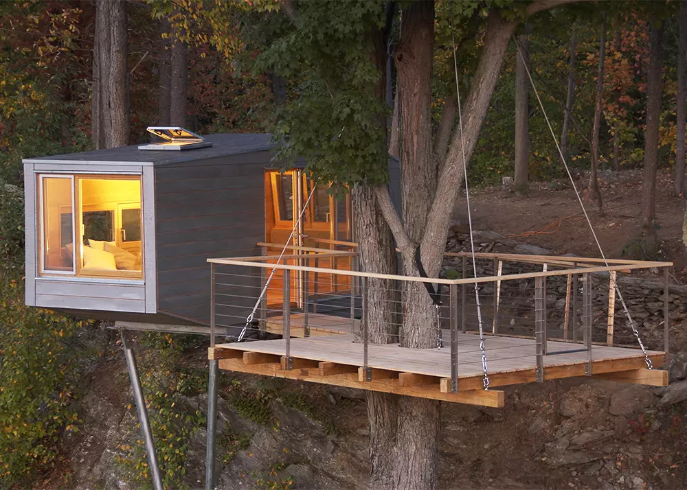 La Cliff House è una casa sull'albero ecologica avvolta attorno a un albero di acero 29309_1