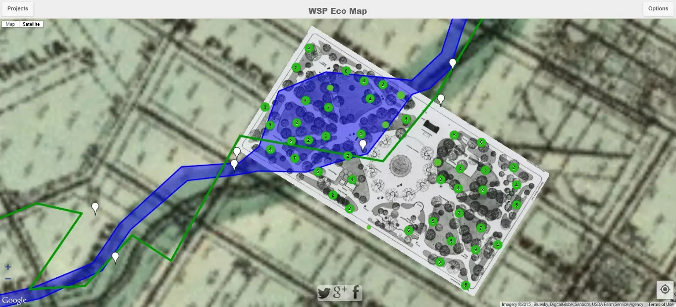 WSP Eco Map fylgist með Falda Minetta Creek og tré Washington Square Park 29442_1