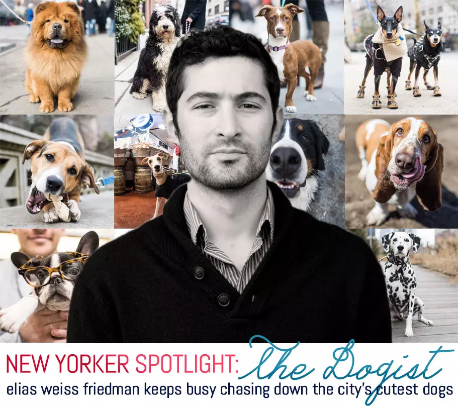 New Yorker Spotlight: Meet the Human Behind 'The Dogist', Elias Weiss Friedman 29769_1
