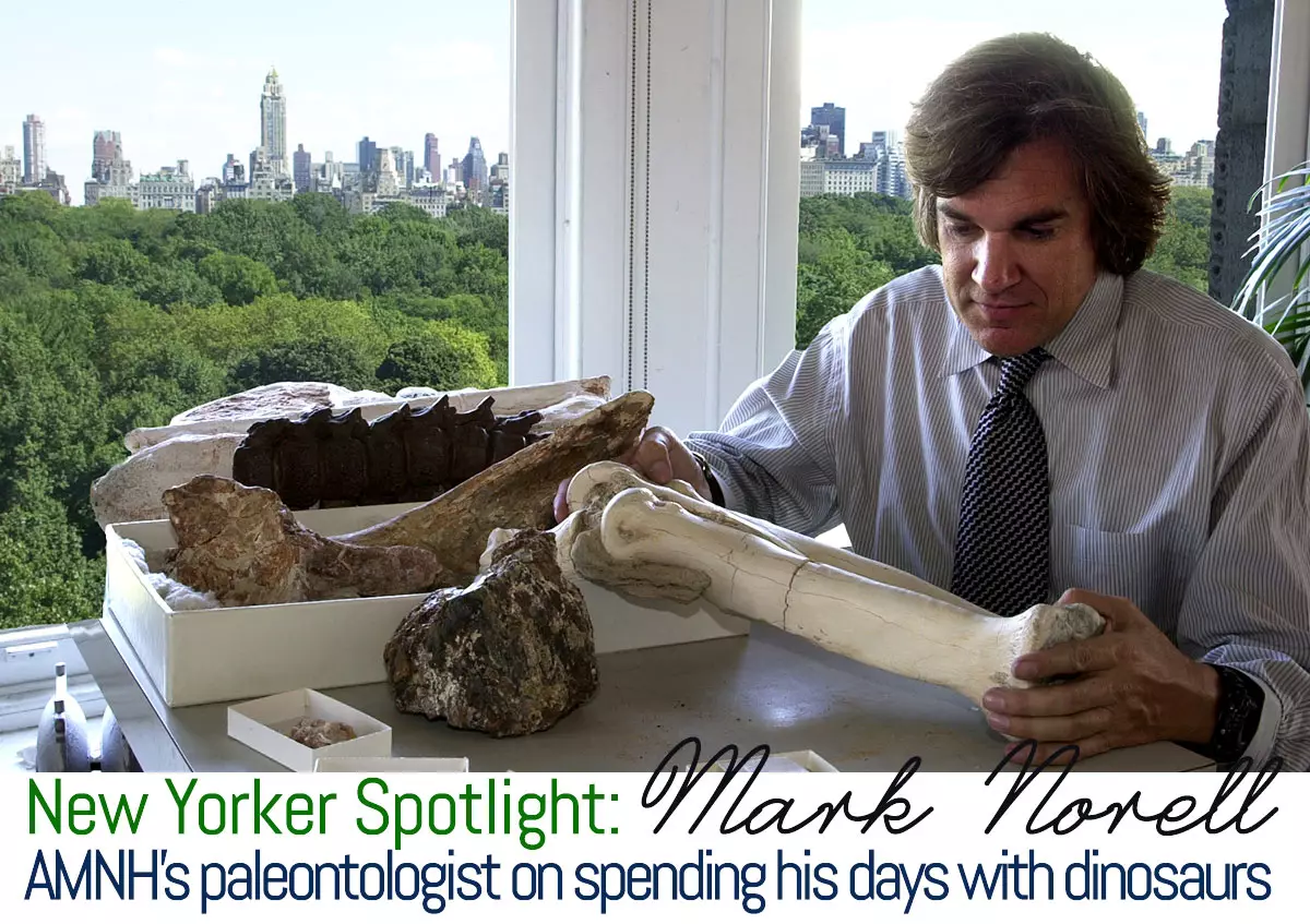 New Yorker Spotlight: Paleontologist Mark Norell Works Faʻaalu Ona Aso ma Dinosaurs i le American Museum of Natural History 30303_1