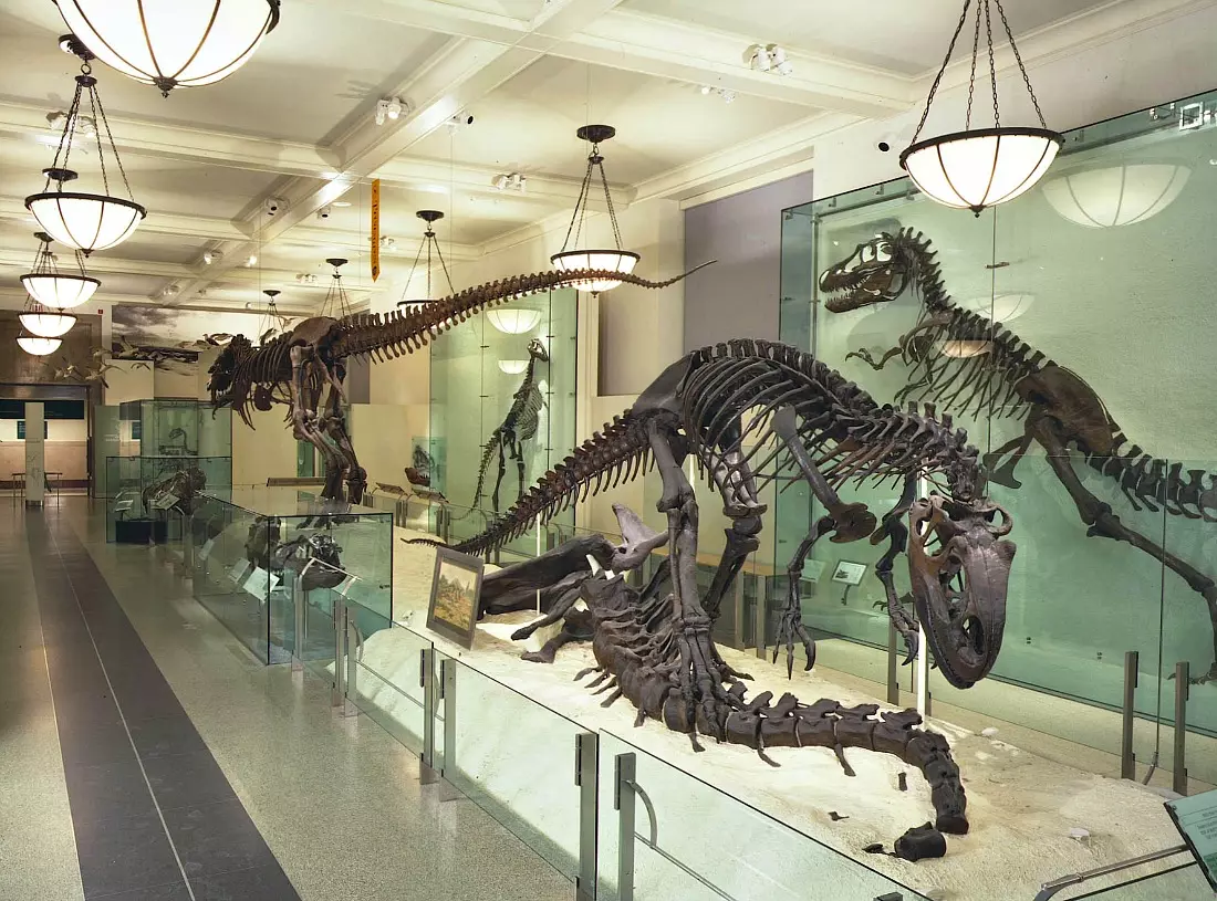 アメリカ自然史博物館の化石ホール