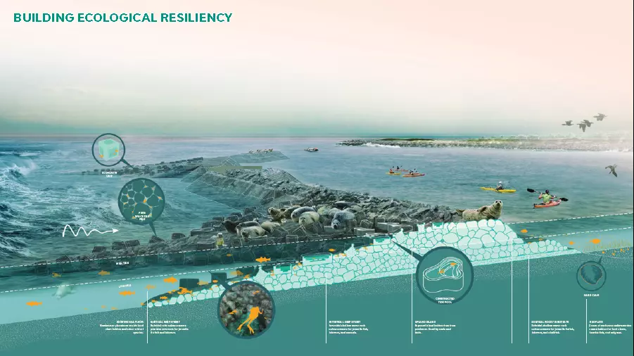 Nyob Breakwaters, SCAPE, Kate Orff, Oysters, Tottenville, Rebuild by Design, Staten Island, Ecology,