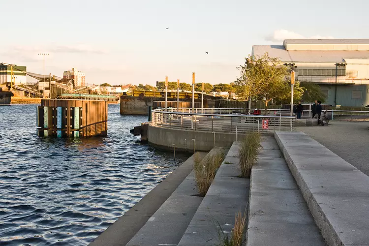 Newtown creek nature walk