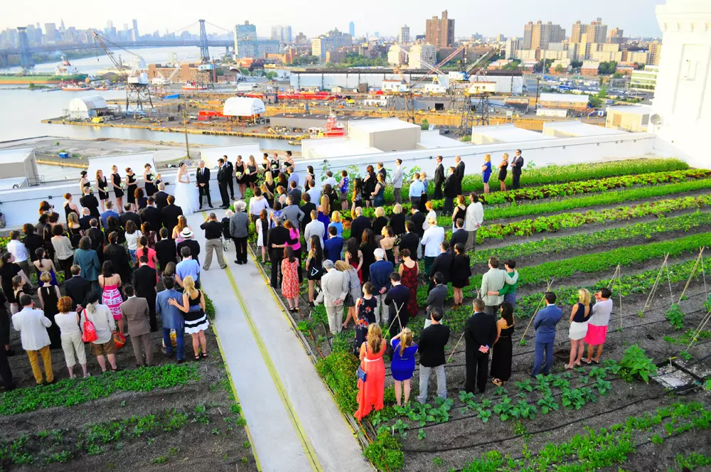 Polasi e marulelong ea Brooklyn Grange, Brooklyn Grange, polasi e marulelong ea Brooklyn, polasi e marulelong ea nyc