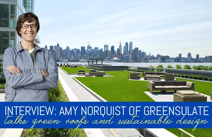Ynterview: Amy Norquist fan Greensulate praat oer griene daken en duorsum ûntwerp 31998_1