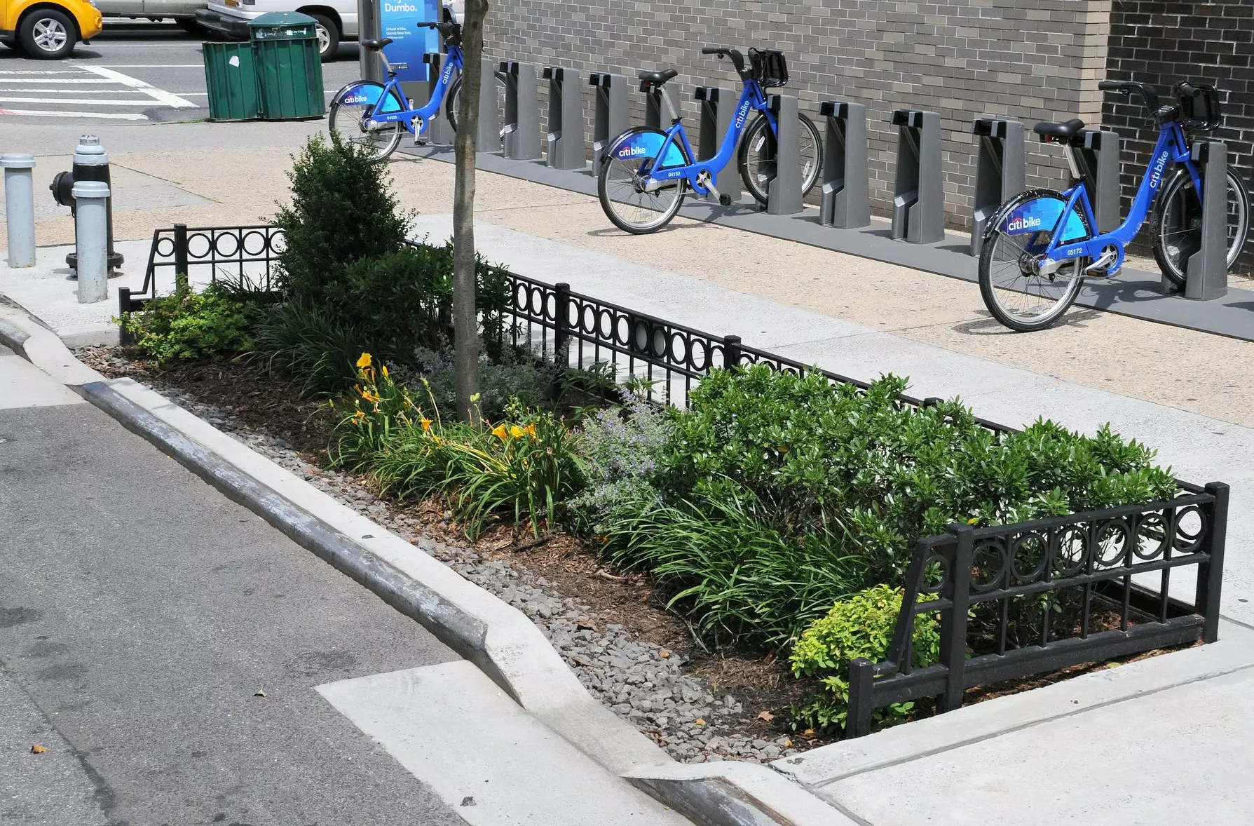 Bioswale, NYC Department of Environmental Protection, NYC zelena infrastruktura