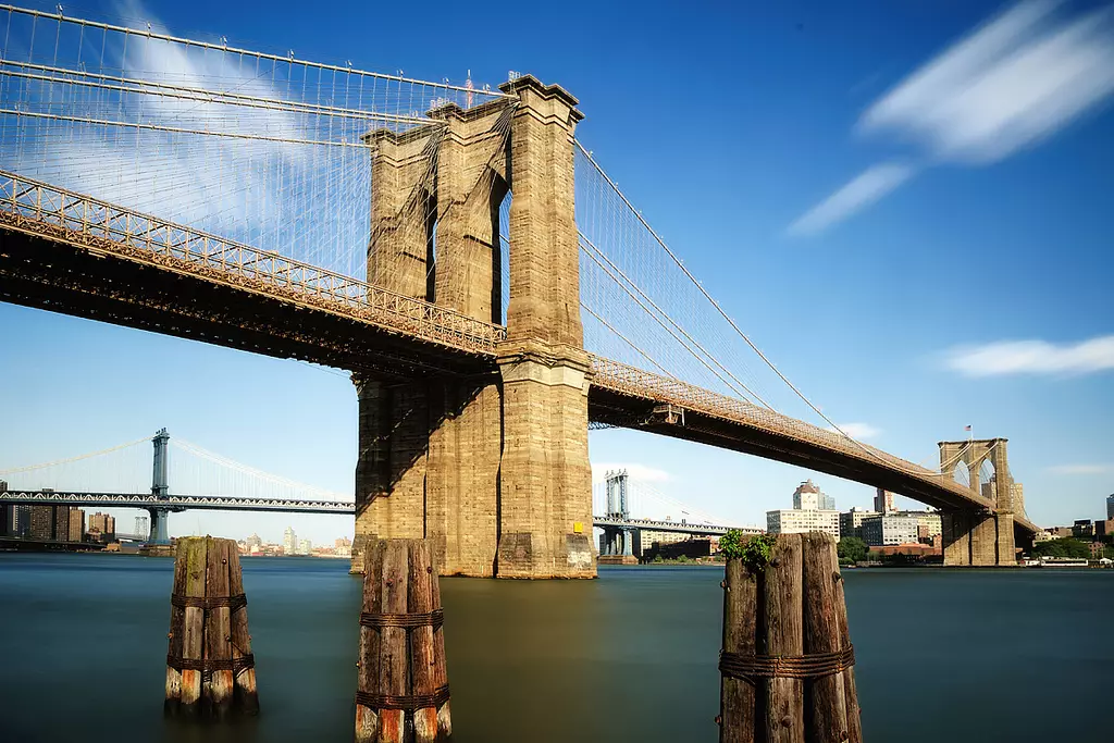 Ura e Bruklinit, Zogjtë e qytetit të Nju Jorkut