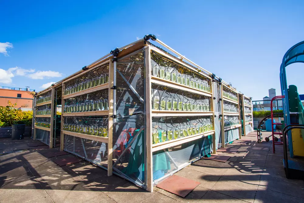 JCC Manhattan Sukkah 2014-2