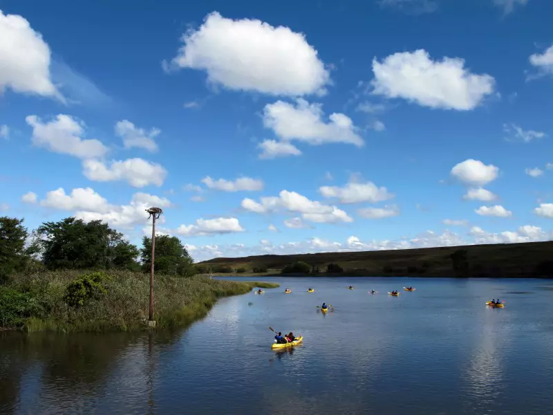 Tour voor slechts één dag, 300 hectare Freshkills Park 33041_1