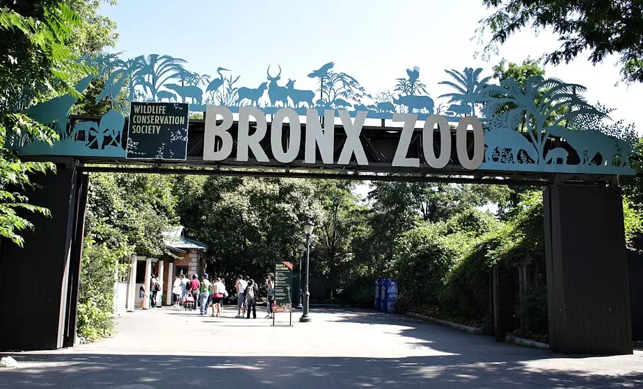 Zoo Bronx, otu nchekwa anụ ọhịa