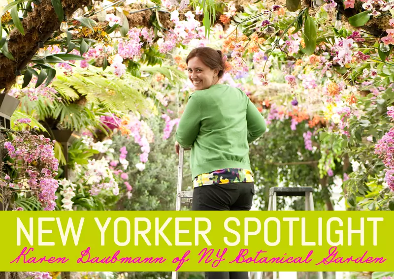 New Yorker Spotlight: Mindenki a NY Botanikus Kert fedélzetén, ünnepi vonatbemutató Karen Daubmann-nal 3374_1