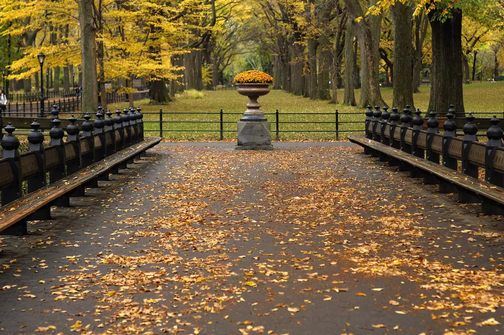 Kursiga dahaarka ah ee Mall ee Central Park. Sawirka © Isticmaale Flicker Ralph Hockens