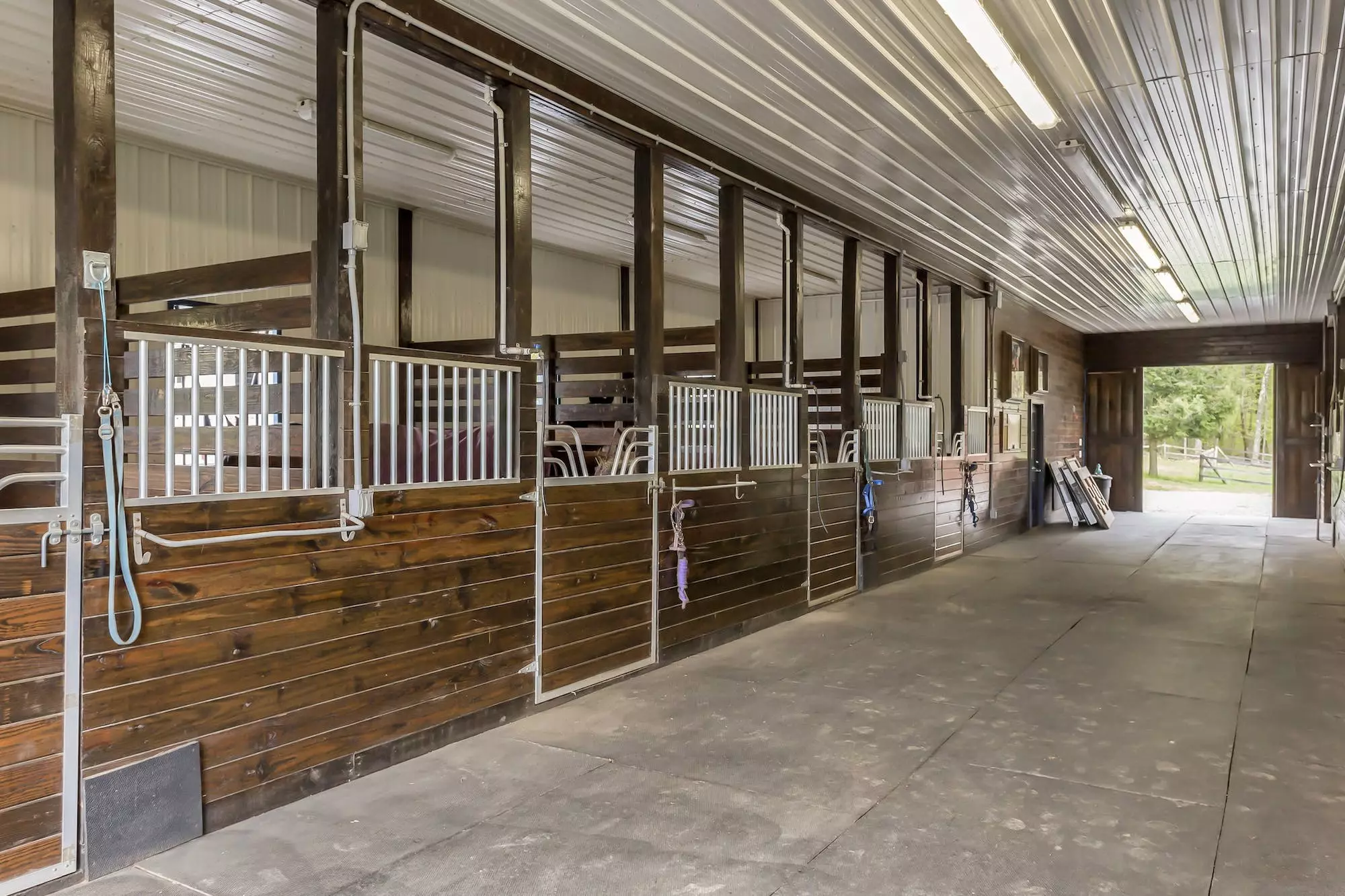 Đối với giá của một căn hộ ở Manhattan, hãy mua một trang trại ngựa và cabin rộng 10 mẫu Anh ở Connecticut với giá 1,25 triệu đô la 3440_10