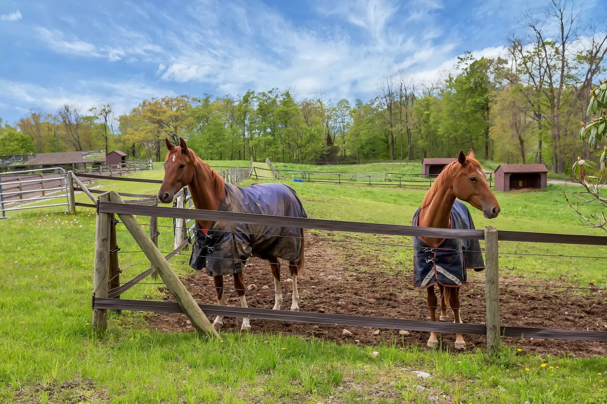 Vir die prys van 'n Manhattan-woonstel, kry 'n 10-akker perdeplaas en kajuit in Connecticut vir $1,25M 3440_11