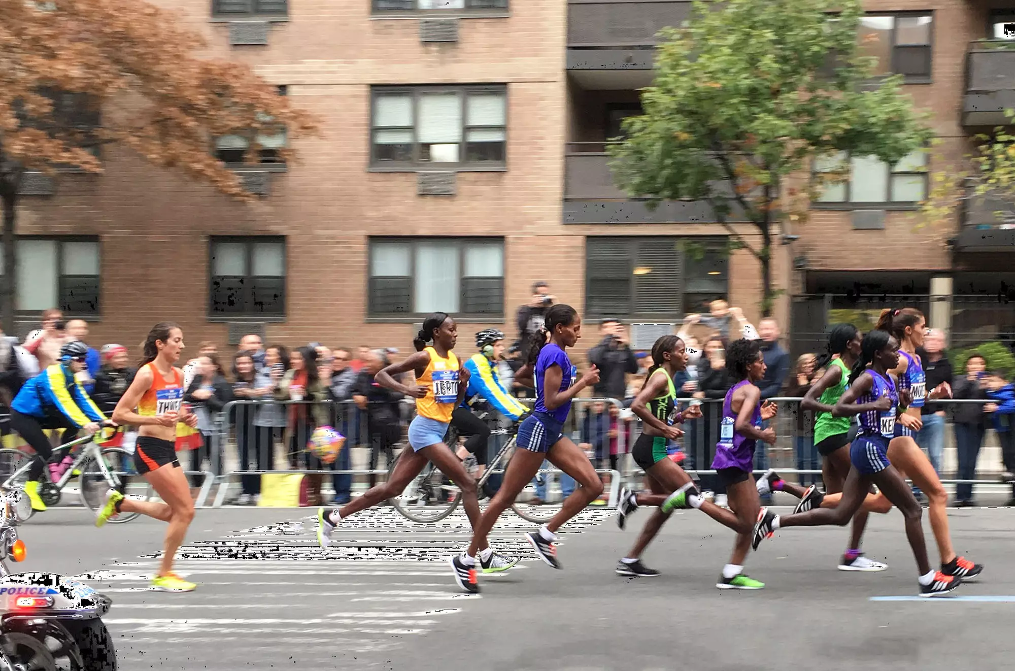 Ang NYC Marathon mobalik karong Nobyembre sa 60% nga kapasidad 3521_1