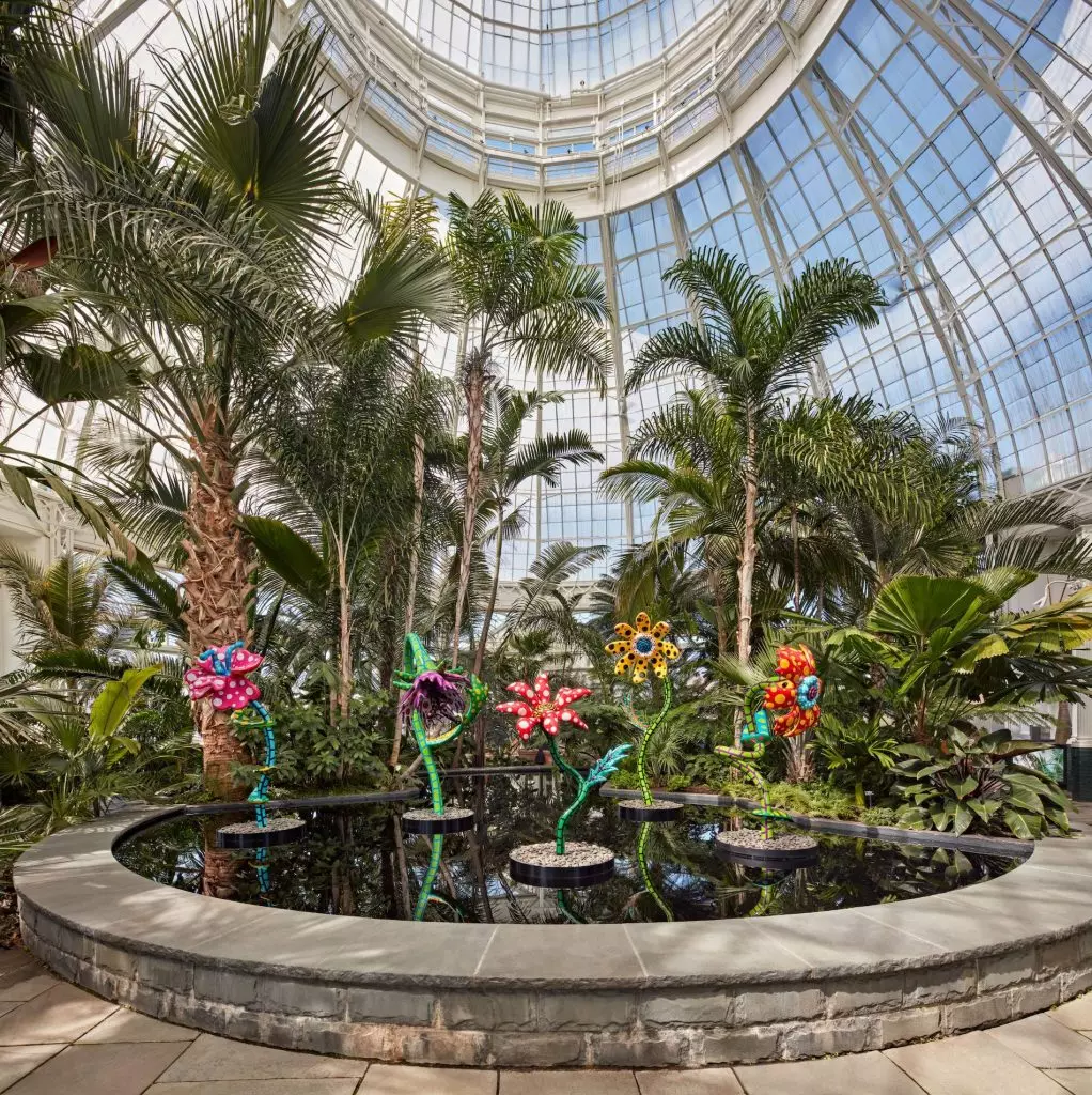 Sehen Sie sich die Blockbuster-Ausstellung Yayoi Kusama im New York Botanical Garden an 3821_3