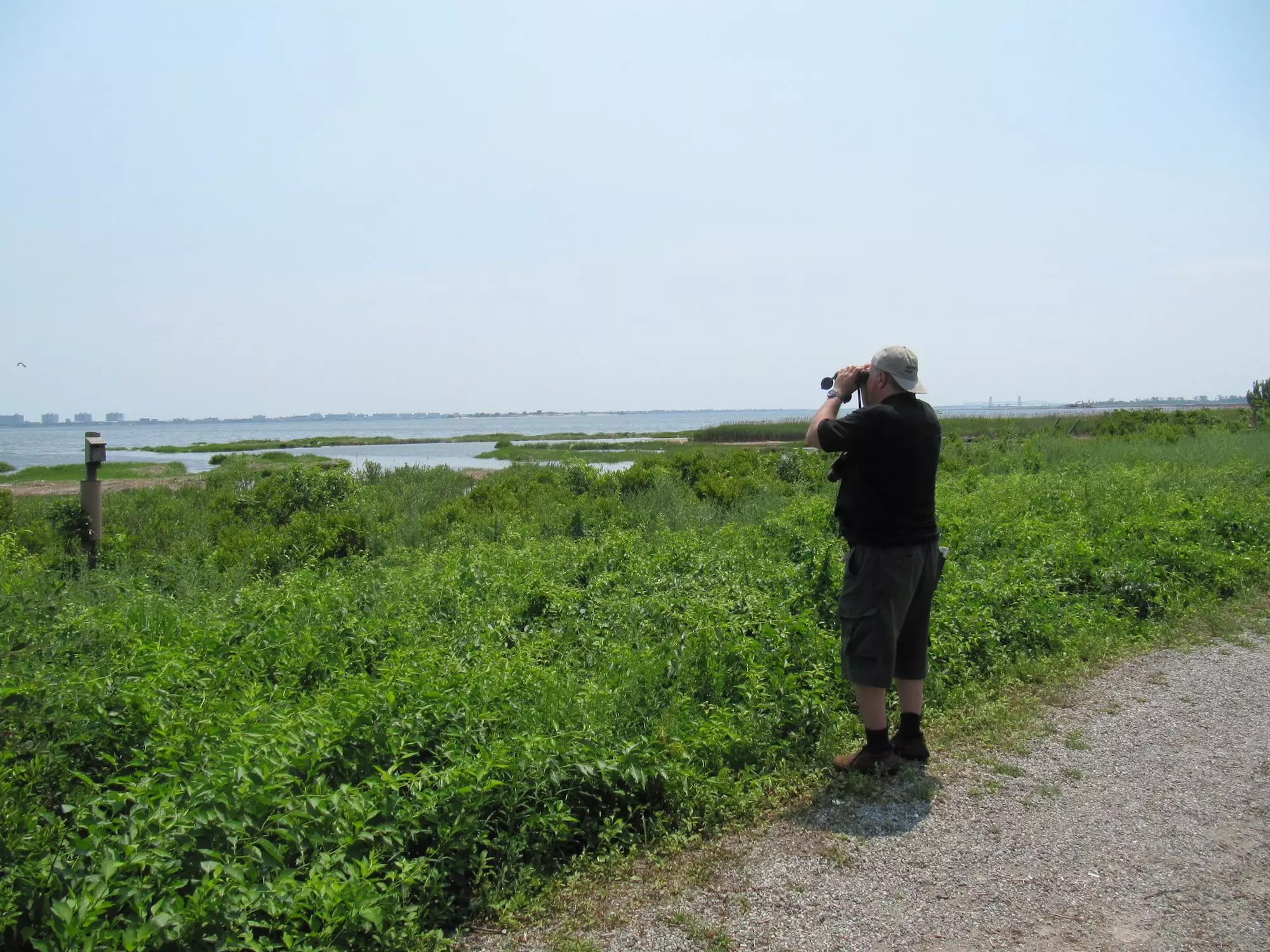 De beste plekken om vogels te spotten in New York City 3850_5