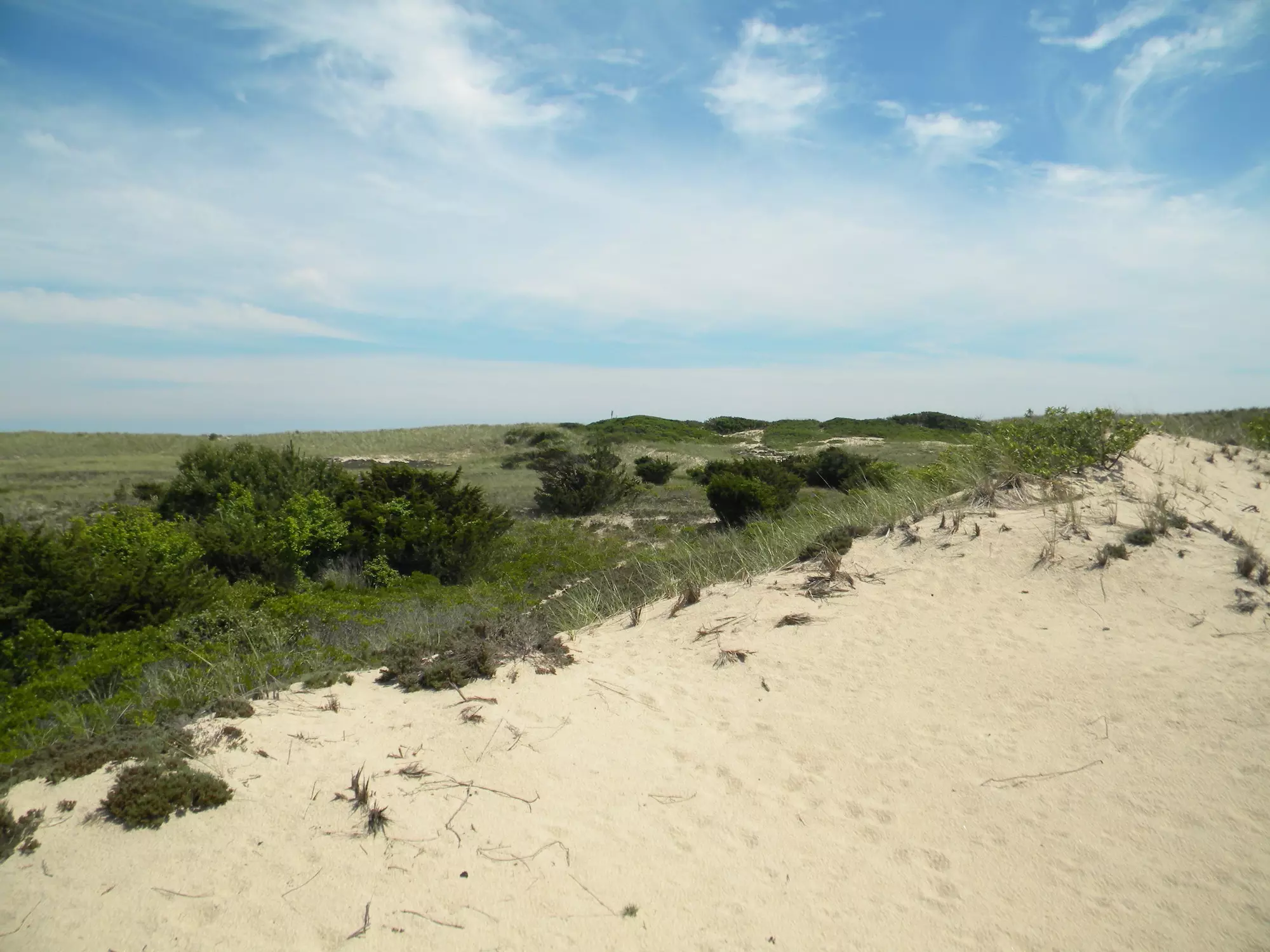 De bêste plakken om it heule jier te wenjen yn 'e Hamptons 4282_6